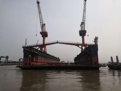 Cina altezza di elevazione di Crane Single Arm Design With 20~50m del bacino galleggiante 20t~300t in vendita