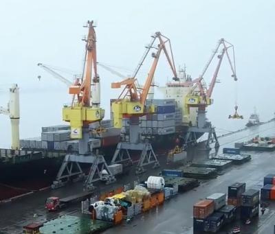 China 360 Graad roteert 5t aan 40ton-Klantgerichte de Kranen van de Scheepswerfhaven Te koop