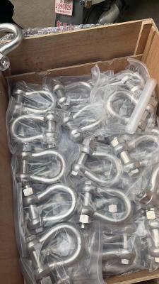 China Customizable Anchor Steel Bow Shackle 300 Series High Rigidity Abrasion Proof for sale