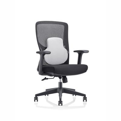 China Customizable Mesh Executive Office Chair with Adjustable Armrest and Swivel Base for sale