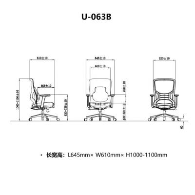 China Customizable Mesh Executive Office Chair with Adjustable Armrest and Swivel Base for sale