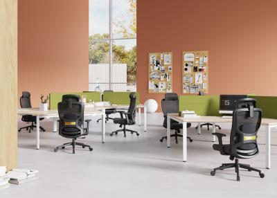 China Customizable Mesh Executive Office Chair with Adjustable Armrest and Swivel Base for sale