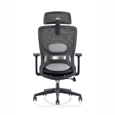 China Self-Loading Mechanism High Back Mesh Ergonomic Chair for Comfortable Office Work for sale