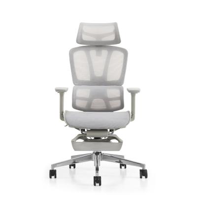China Height Adjustable Ergo Executive Mesh Office Chair With Lumbar Support Boss CEO Luxury for sale