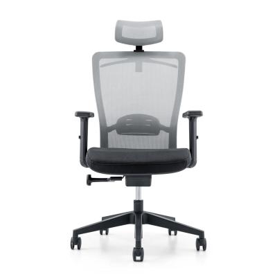 China Adjustable Armrest Modern Swivel High Back Ergonomic Mesh Office Chair 650*690*1150-1250mm for sale