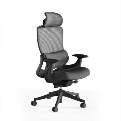 China Best Ergonomic Mesh Double Back Swivel Office Chair OEM with Free Sample Shipping for sale