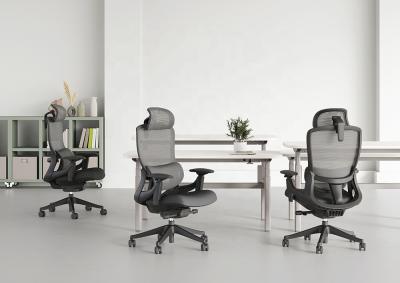 China Best Ergonomic Mesh Double Back Swivel Office Chair OEM with Free Sample Shipping for sale