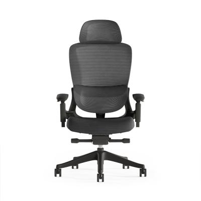 China Best Ergonomic Mesh Double Back Swivel Office Chair OEM with Free Sample Shipping for sale