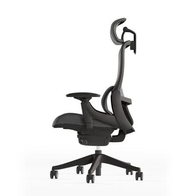 China Best Ergonomic Mesh Double Back Swivel Office Chair OEM with Free Sample Shipping for sale