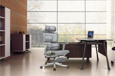 China Adjustable Height Mesh Office Chair for Modern Home Office Furniture in FOSHAN for sale