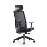 China Comfortable Mesh Office Chair with Adjustable Backrest and Padded Lumbar Support for sale