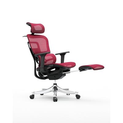 China Work in Style Ergonomic Mesh Chair with Adjustable Footrest and Back Support in Black for sale