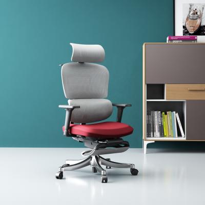 China Work in Style Ergonomic Mesh Chair with Adjustable Footrest and Back Support in Black for sale