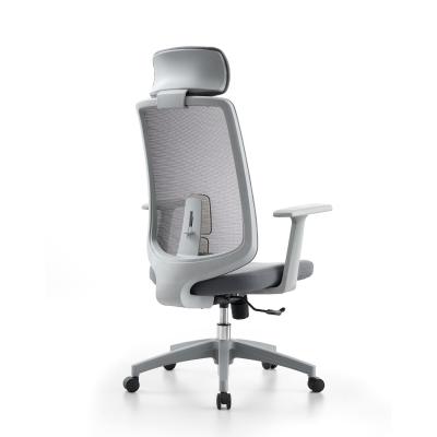 China Comfortable Chairs Rotating Fabric Swivel Gas Lifting Computer Ergonomic Mesh Executive Office Chair Adjustable Lumbar Support for sale