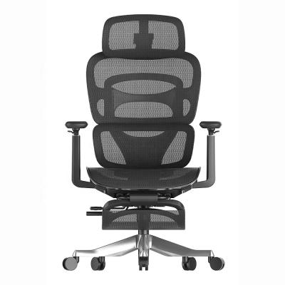 China Luxury Seating Full Mesh Office Executive Chair Ergonomic Adjustable Lumbar Support Computer Office Chair Comfortable Sleeping for sale