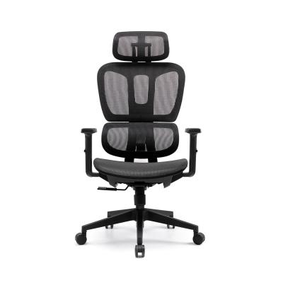China Ergonomic Office Executive Chair with Adjustable Lumbar Support Breathable Mesh Back and Comfortable Seat for Long Hours for sale