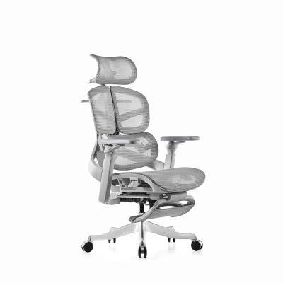 China Ergonomic Mesh Computer Chair Office Executive Chair With Footrest Lunch Time Sleeping Featuring Adjustable Lumbar Support Breathable Full Mesh Back& Seat Cushion and Durable Frame for Long Lasting for sale