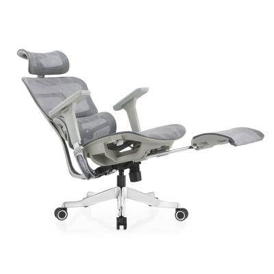 China 65065011801280mm High Back Office Chair with Plastic Frame Ergonomic Comfortable Adjustable Executive Seating Solution for sale