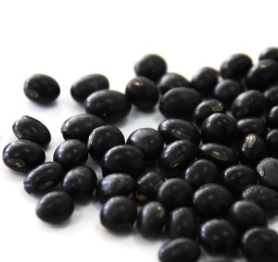 China Black Soybean Hull Extract, Anthocyanidins 5%-25%, Anthocyanins 5%-30% for sale