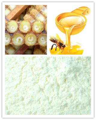 China Royal Jelly Powder for sale