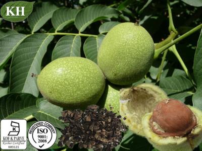 China Green Walnut Hull Powder /Black walnut hull powder for sale