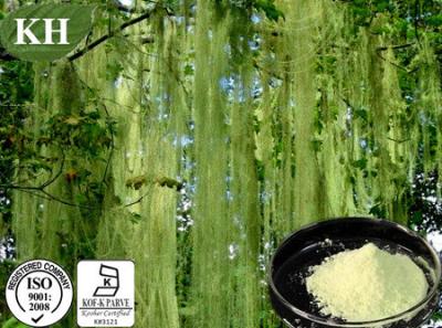 China Usnic Acid 98% for sale
