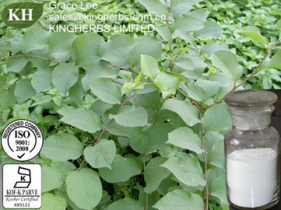 China Resveratrol Polygonum cuspidaturn extract for sale