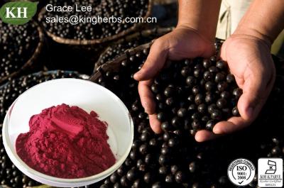 China Acai Berry Extract for sale