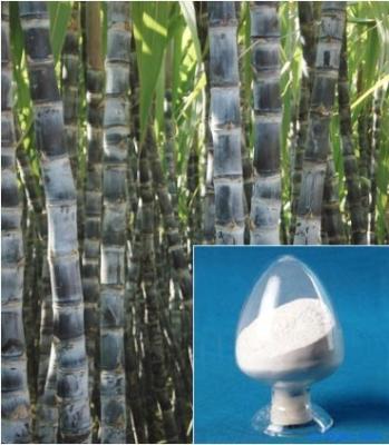 China Policosanol for sale