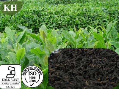 China Black Tea Extract,  Theaflavins, Tea  Polyphenols for sale