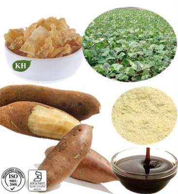 China Yacon Extract for sale