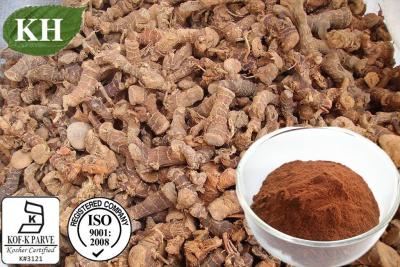 China Galangal Root Extract ,10:1,20:1, Galangin 30%, 98% for sale