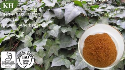 China Ivy Extract, Hvedera helix extract, Hederacoside C 10%, 20% for sale