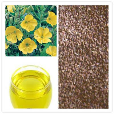 China Evening Primrose Oil for sale