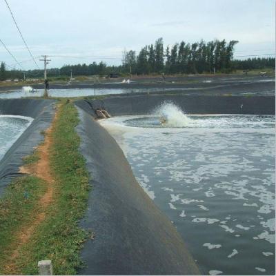 中国 滑らかな池線 HDPE 地膜 1mm 環境用途の養魚用 販売のため