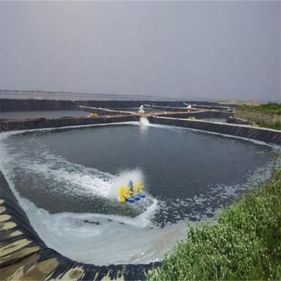中国 滑らかな池線 HDPE 地膜 1mm 環境用途の養魚用 販売のため