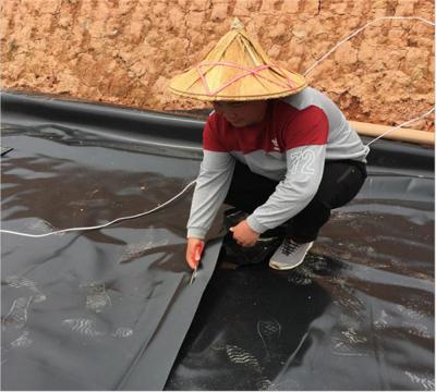 中国 滑らかな池線 HDPE 地膜 1mm 環境用途の養魚用 販売のため