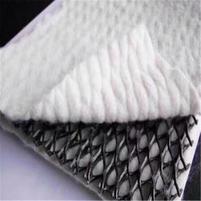 China 6m Width Black and White Geonet Geotextile Composite Drainage Geonet at for Landfill for sale