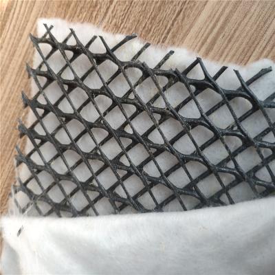 China 6m Width Black and White Geonet Geotextile Composite Drainage Geonet at for Landfill for sale