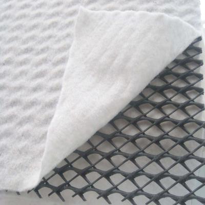 China Geonet e revestimentos de drenagem geocompostos de HDPE altamente projetados no estilo de design chinês à venda