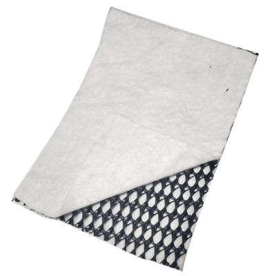 China Contemporary Design Style 3D Composite Drainage Geonet voor drainage in HDPE PP PET Te koop
