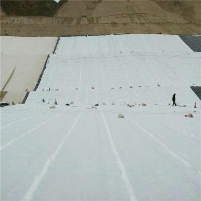 China Geonet e revestimentos de drenagem geocompostos de HDPE altamente projetados no estilo de design chinês à venda