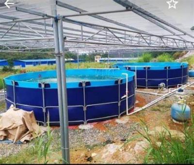 Cina 0.75mm 1.0mm HDPE Geomembrane Pond Liner per Biofloc Tank Personalizzabile e impermeabile in vendita