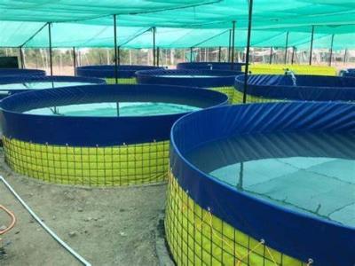 Cina 0.75mm 1.0mm HDPE Geomembrane Pond Liner per Biofloc Tank Personalizzabile e impermeabile in vendita