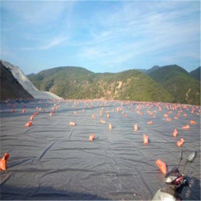 Cina 0.75mm 1.0mm HDPE Geomembrane Pond Liner per Biofloc Tank Personalizzabile e impermeabile in vendita