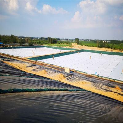 Cina 0.75mm 1.0mm HDPE Geomembrane Pond Liner per Biofloc Tank Personalizzabile e impermeabile in vendita