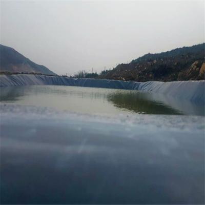 Cina 0.75mm 1.0mm HDPE Geomembrane Pond Liner per Biofloc Tank Personalizzabile e impermeabile in vendita