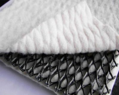 Cina Rete di drenaggio Geonet in polietilene HDPE di densità La soluzione perfetta per i canali di scarico intasati in vendita