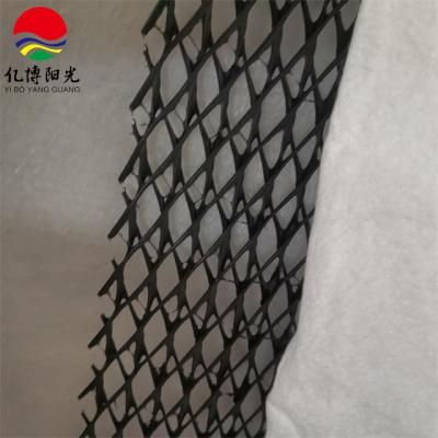 China 3D Geonet Plastic Composite Drainage Geonet Ontworpen met 5,0 mm-12,0 mm kerndikte Te koop
