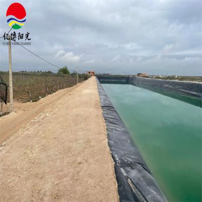 Cina Fogli di plastica con rivestimento di geomembrana in HDPE per serbatoi di acqua per l'allevamento di pesci in vendita